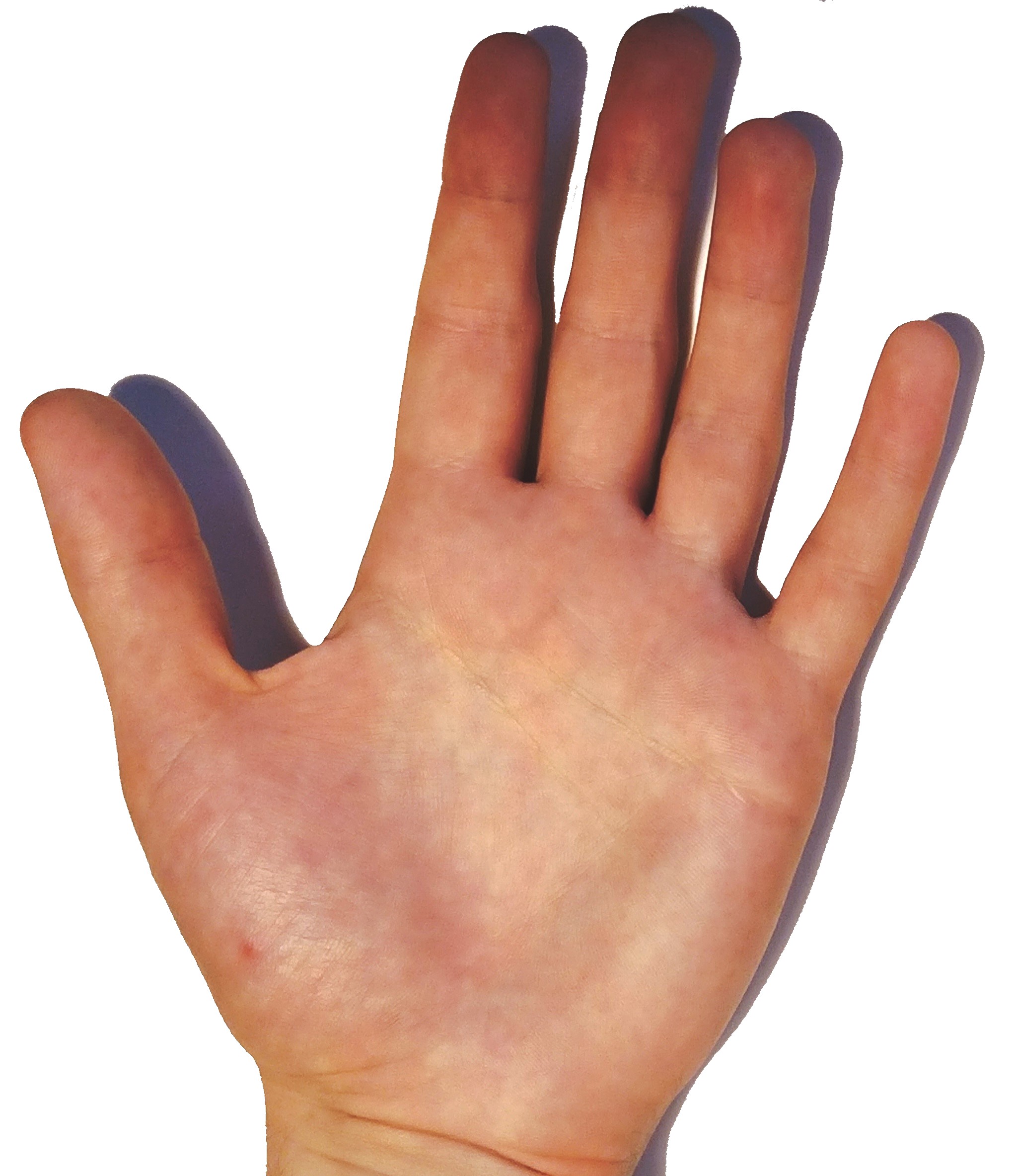 Degetul mare – mărime | chirologul